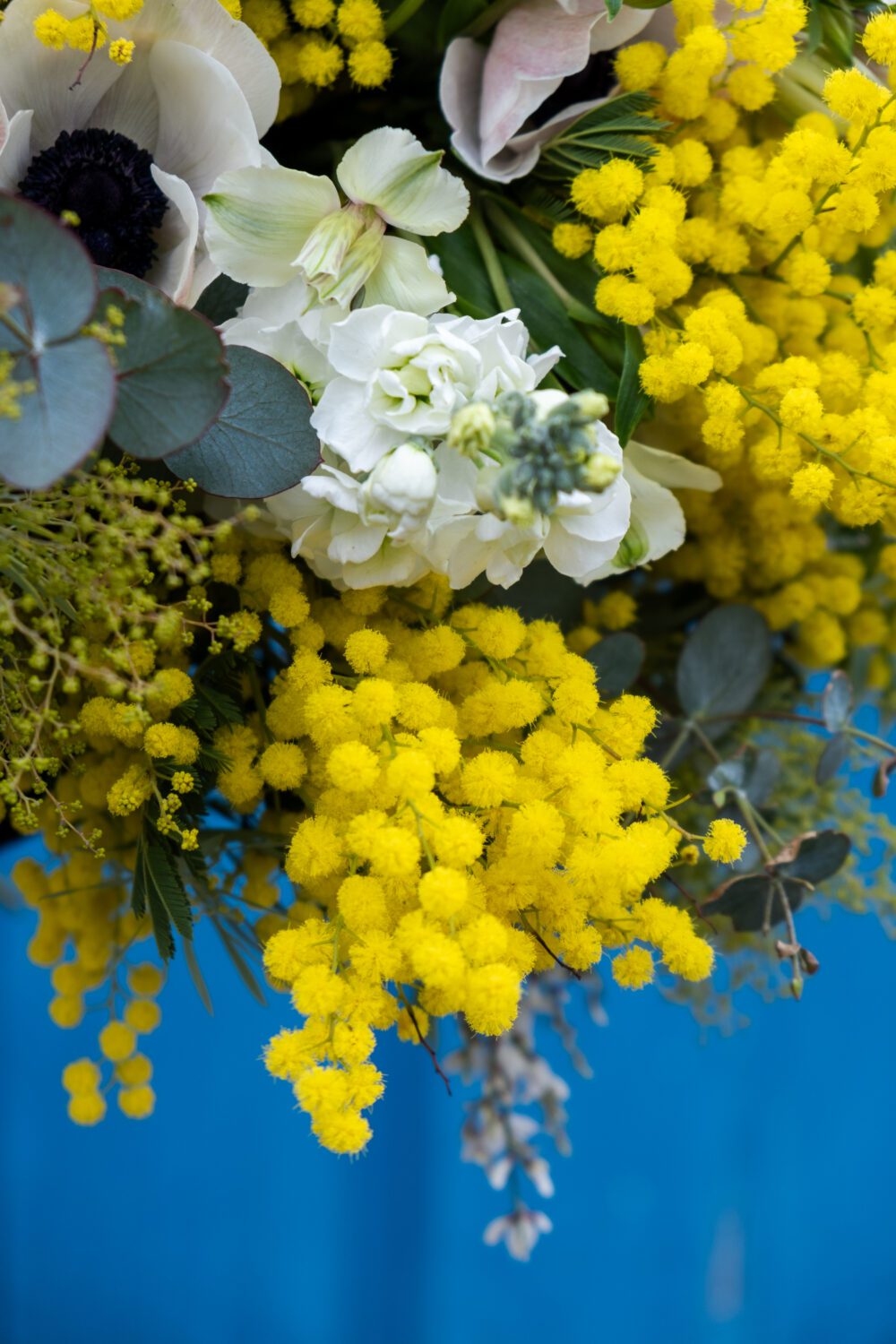 Bouquet de Février 100% fleurs françaises